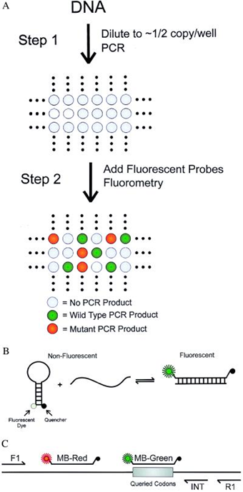 数字PCR digital PCR | OUQ技术分享