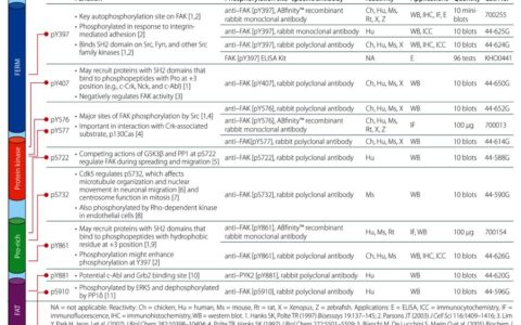 参与NK细胞活化、抑制和分泌的关键细胞因子 | OUQ技术分享