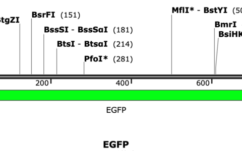 2025年度中国博士后科学基金第77批面上资助拟资助4501人|名单 | OUQ技术分享
